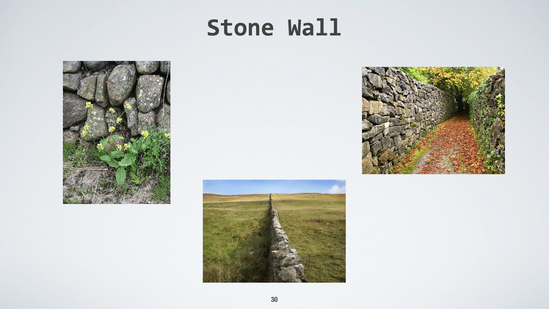 Oracle Issues in Machine Learning and Where to Find Them | Cynthia C. S ...
